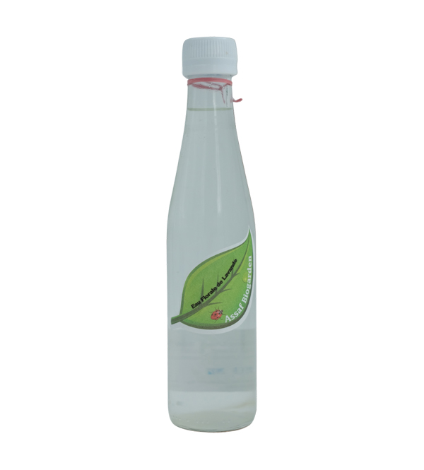 FLORA HEAL ORGANIC GINGER WATER – New Earth