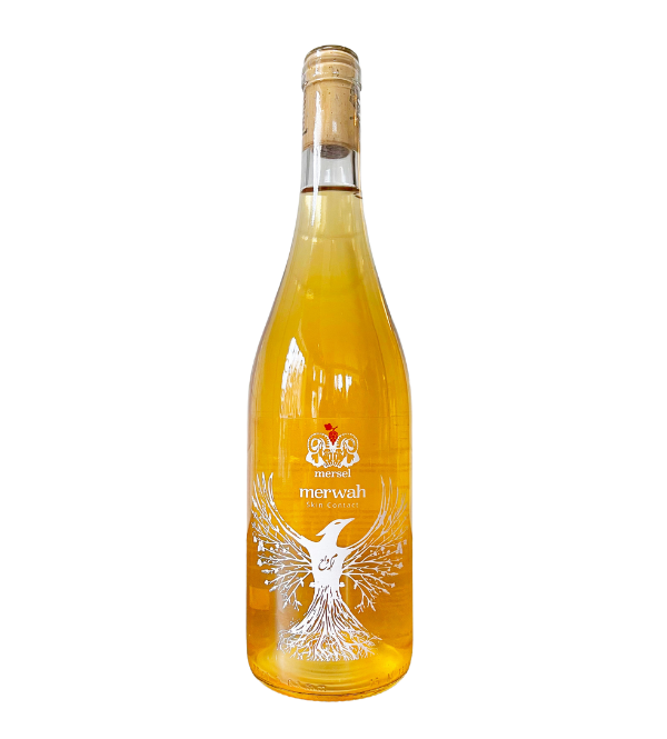 MERSEL PHOENIX MERWAH – New Earth