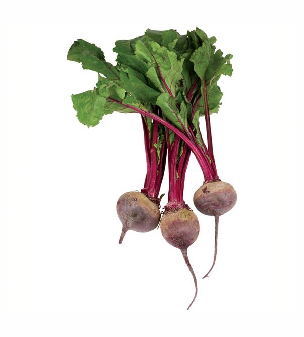 TERRE FERTILE BEETROOT – New Earth