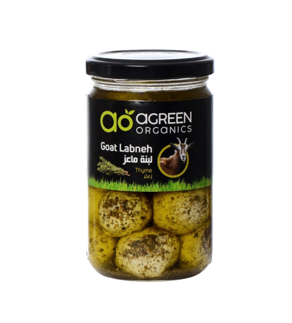 BIONA ORGANIC CHICKPEAS IN WATER JAR – New Earth