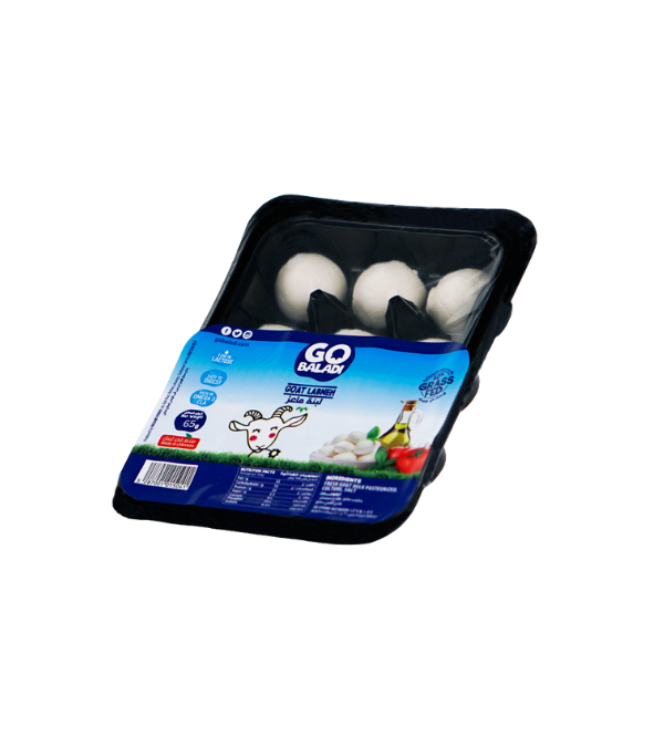 GO BALADI GOAT LABNE MKAAZALE WITH NO OIL – New Earth