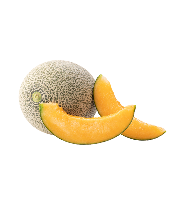 JLAL AL TORMOS MELON – New Earth
